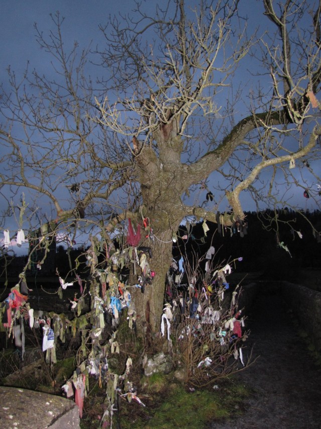 Raggy trees, an Irish pishogue | Don't forget your shovel